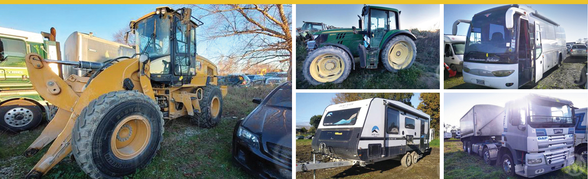 Mega Flood Auction | Manheim New Zealand